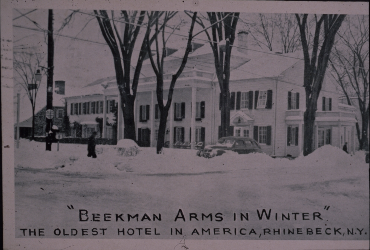 From the Archives - March 2025 - Starr Library