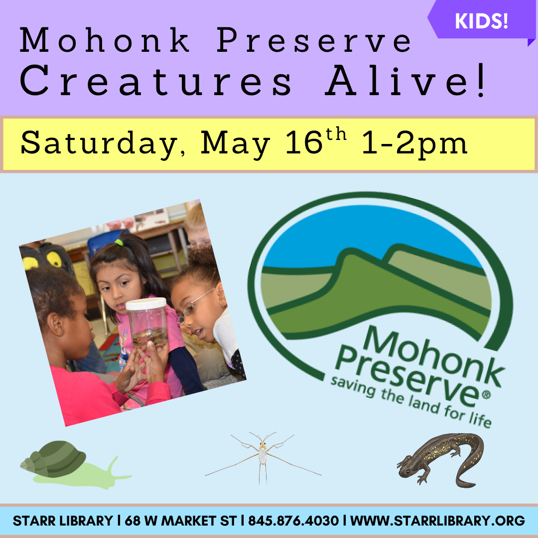 Kids & Family Programs | Starr Library | Rhinebeck, NY